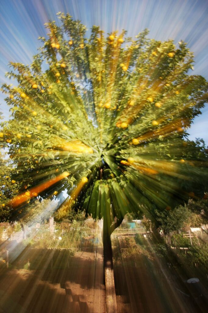Concurso “Líneas convergentes” - Agrupación Fotográfica Contraste Variable